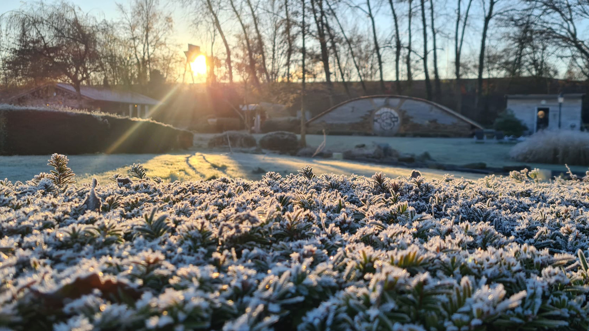 Sauna- en wellnessresort in Schiedam | Thermen Holiday